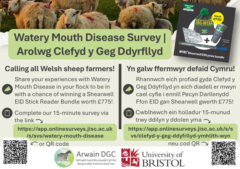 Watery Mouth Disease survey - Iechyd Da